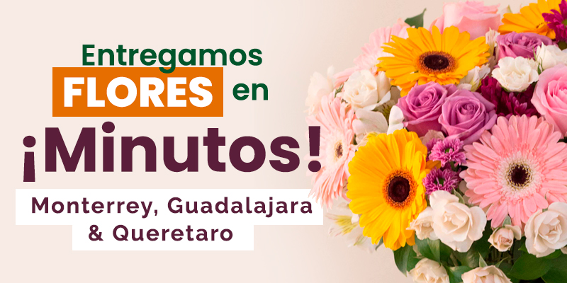 Florería Suspiros | Envio de Flores a Domicilio - Florería en monterrey